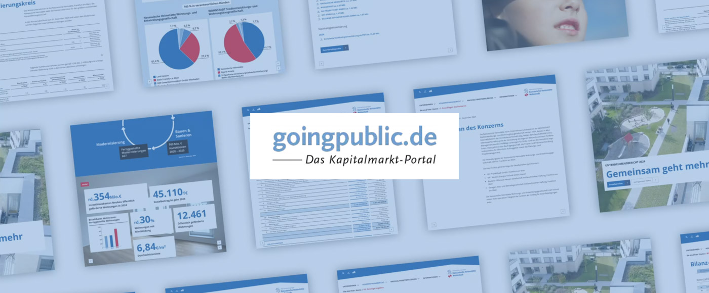 Goingpublic.de über unser NHW Projekt | MULTIVISIO
